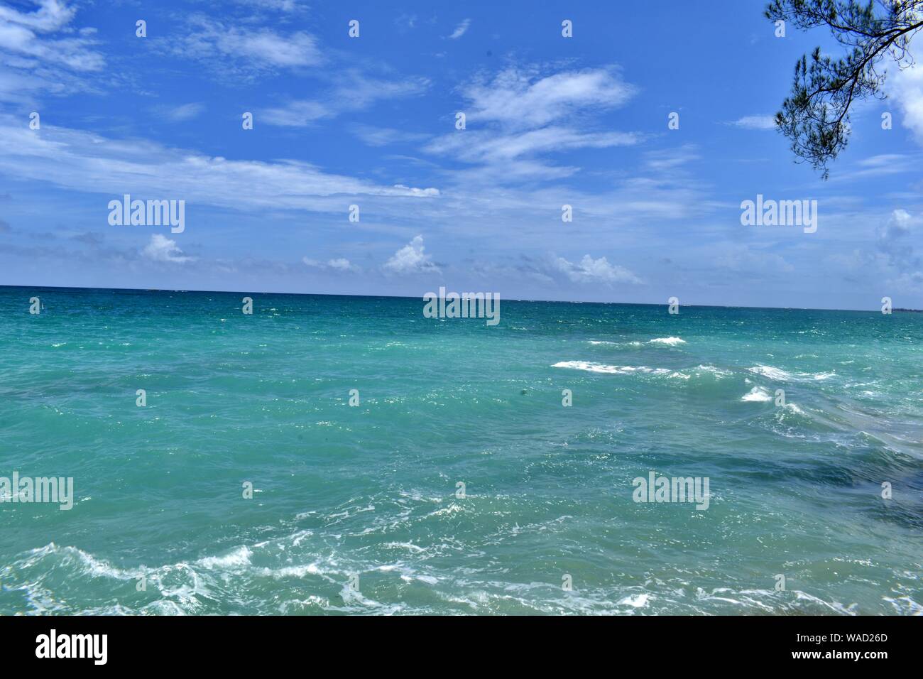 Ocean Park beach at Puerto Rico Stock Photo - Alamy