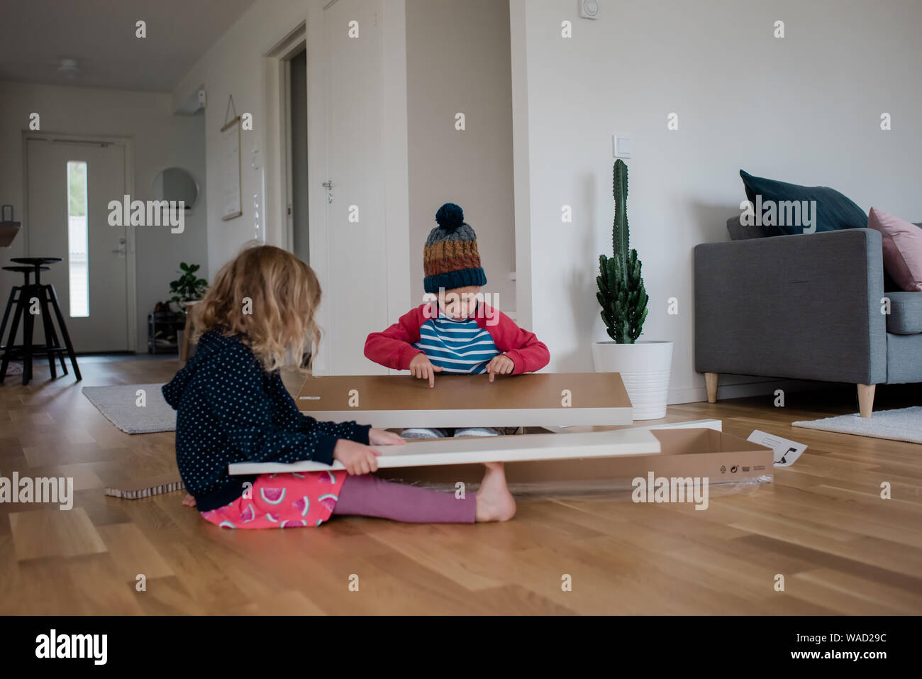 brother and sister building at home Stock Photo - Alamy