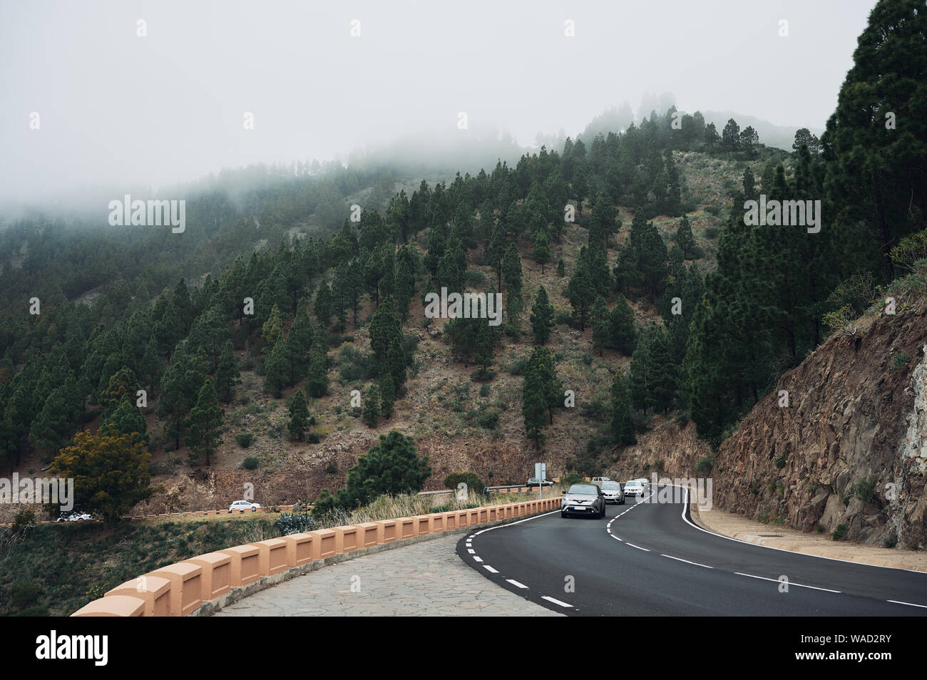 Car riding in forest road hi-res stock photography and images - Alamy