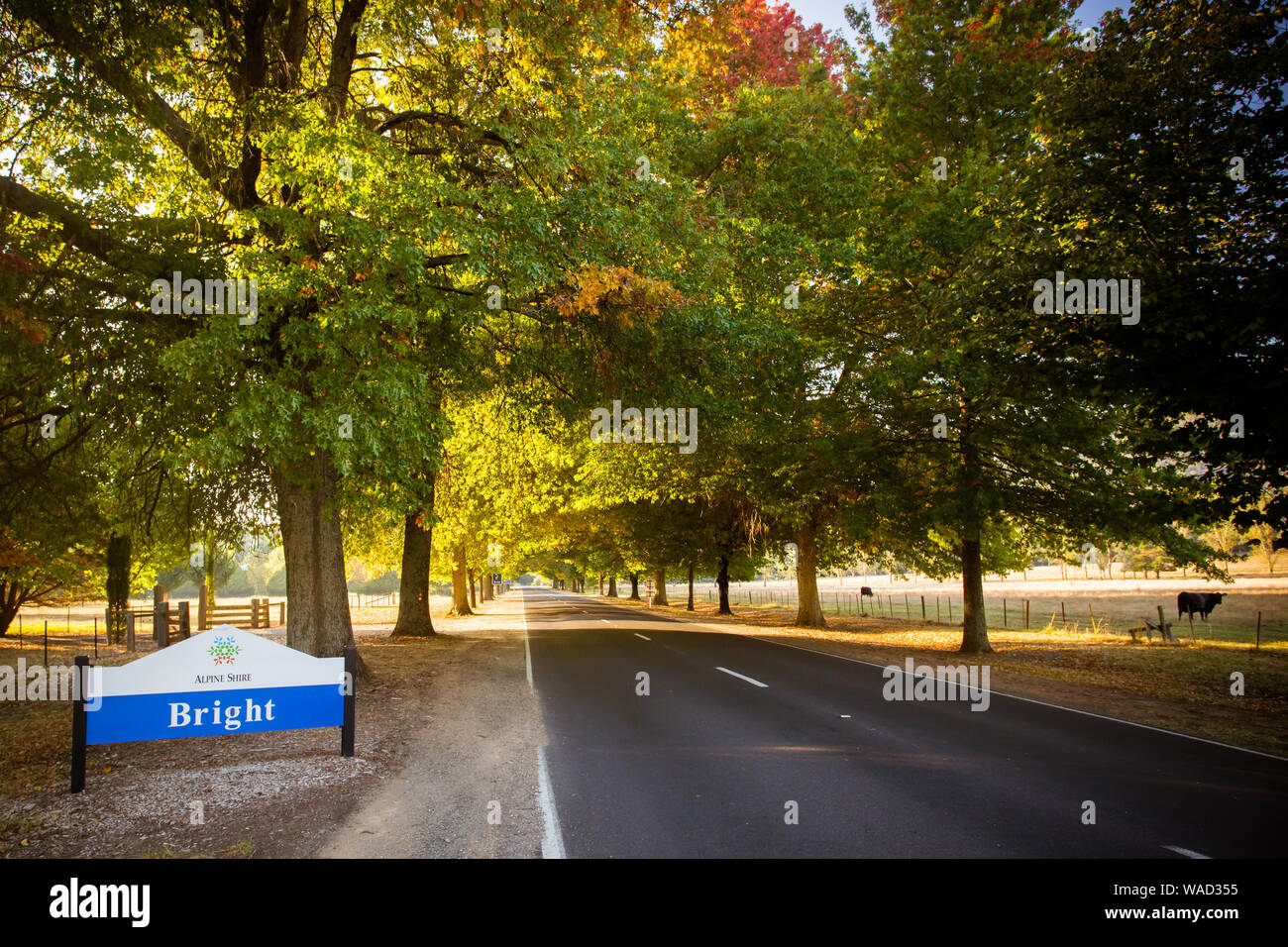 Australian alpine country hi-res stock photography and images - Alamy