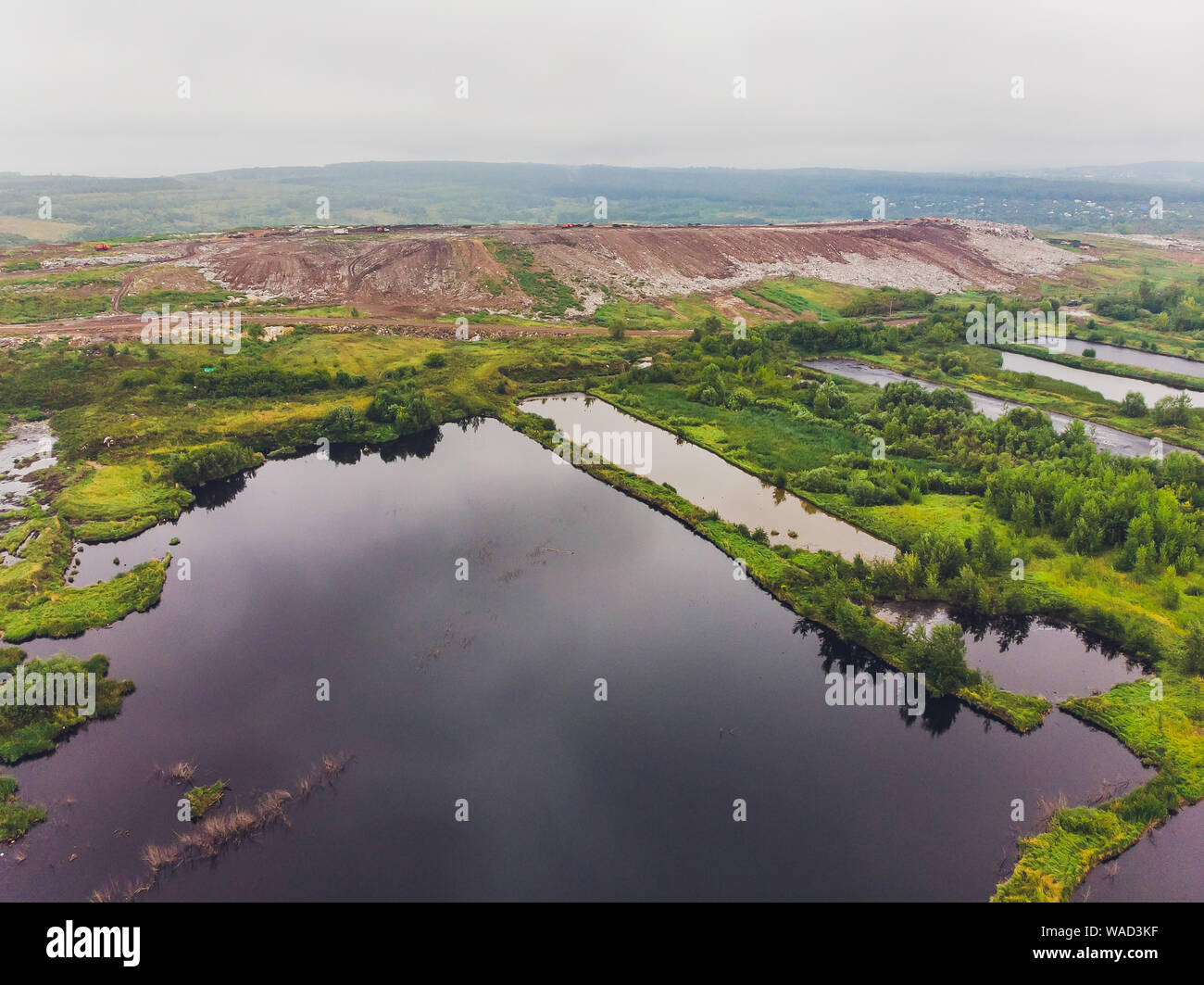 Garbage and reflection of the leafless trees in water. Environmental ...