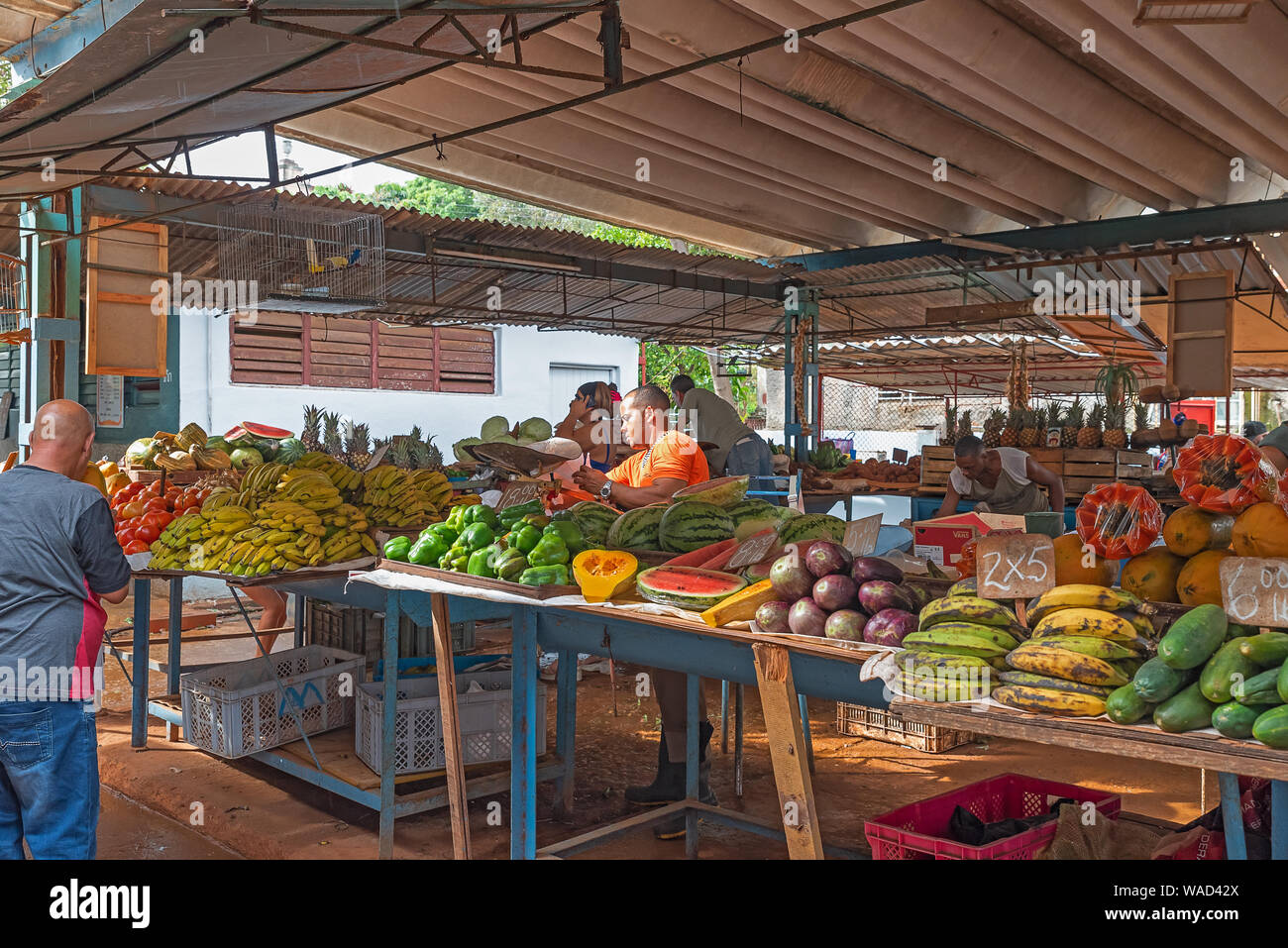 Havana cuba bananas market hi-res stock photography and images - Alamy