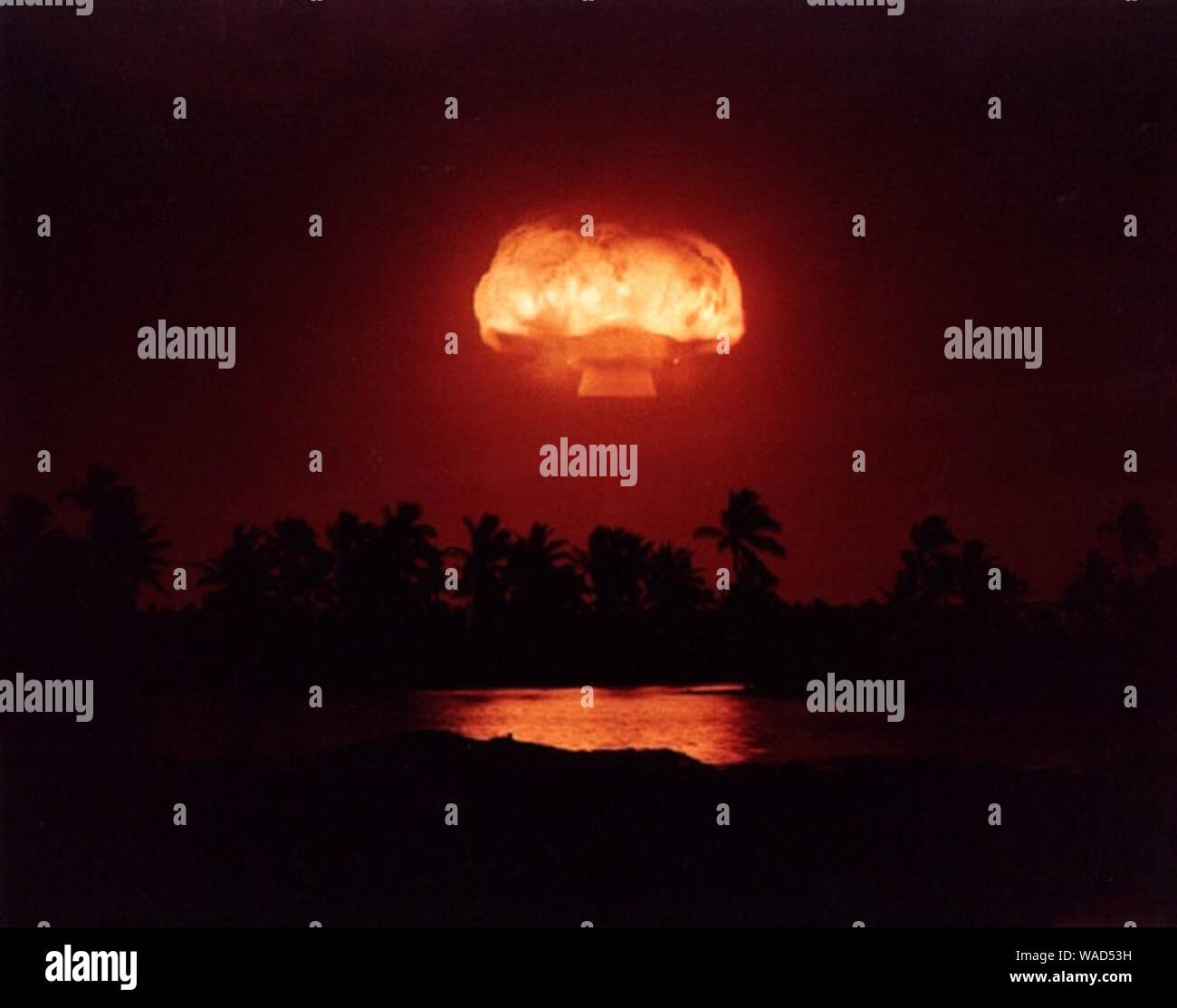 Dominic Bluestone 001 Stock Photo - Alamy