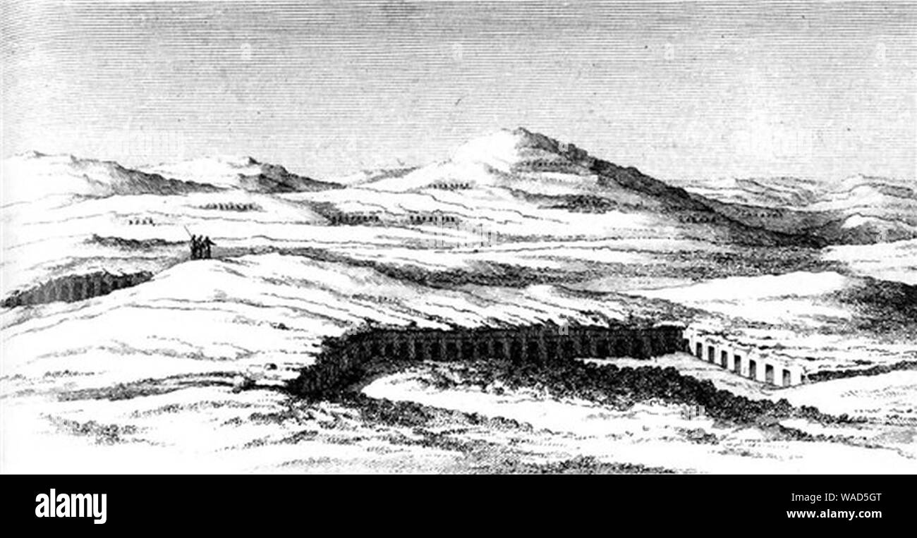 El saff hi-res stock photography and images - Alamy