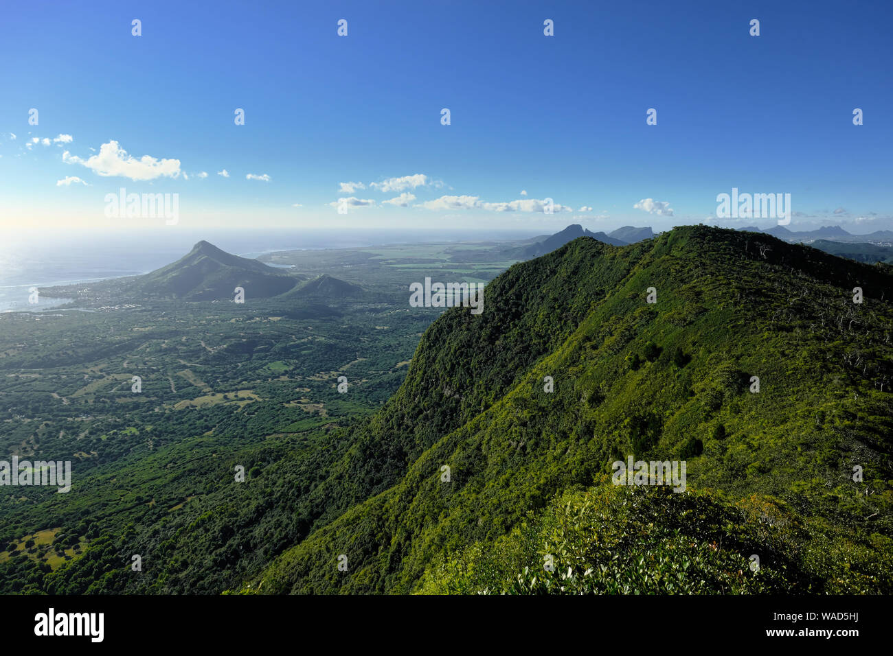 Landscape of Mauritius with rainforest Stock Photo - Alamy