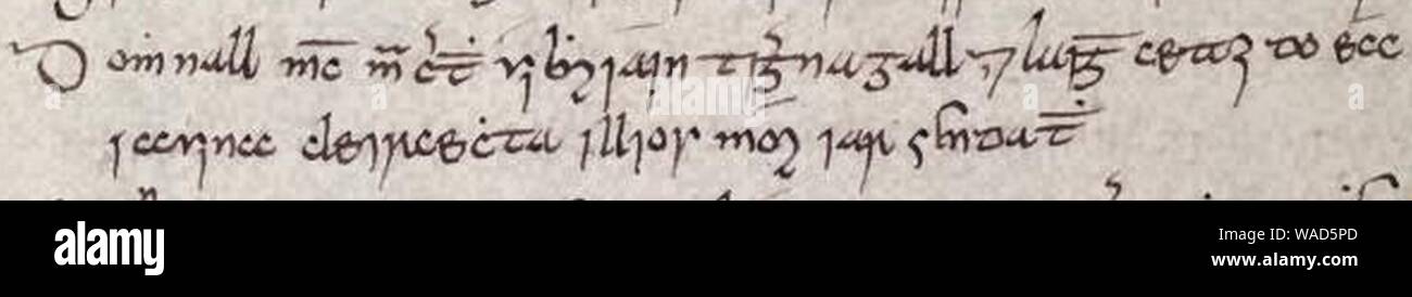 Domnall Gerrlámhach (Royal Irish Academy MS C iii 3 folio 486v Stock ...