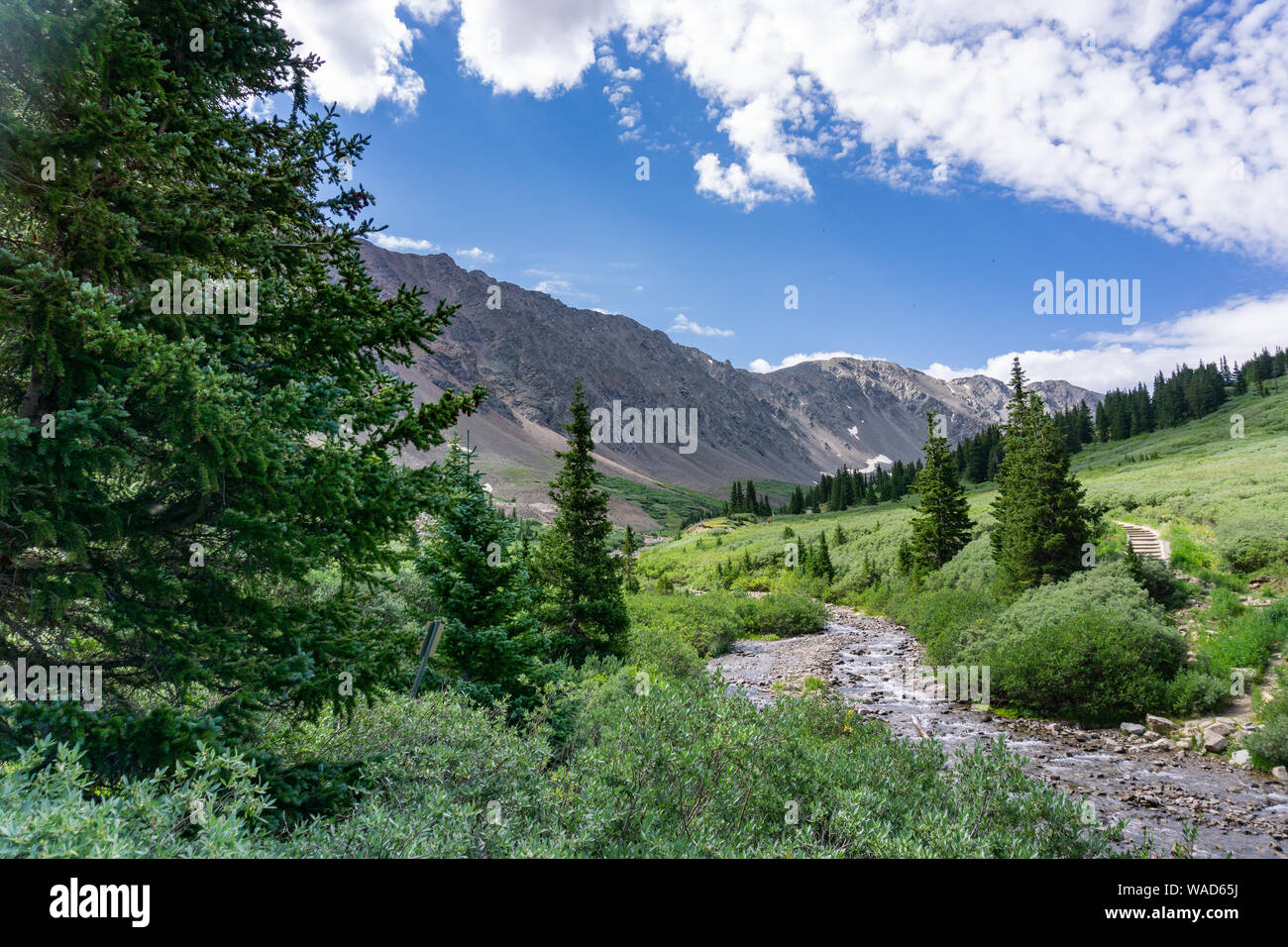 Beautiful alpine scene with evergreen trees trailhead Gray's Peak Stock ...