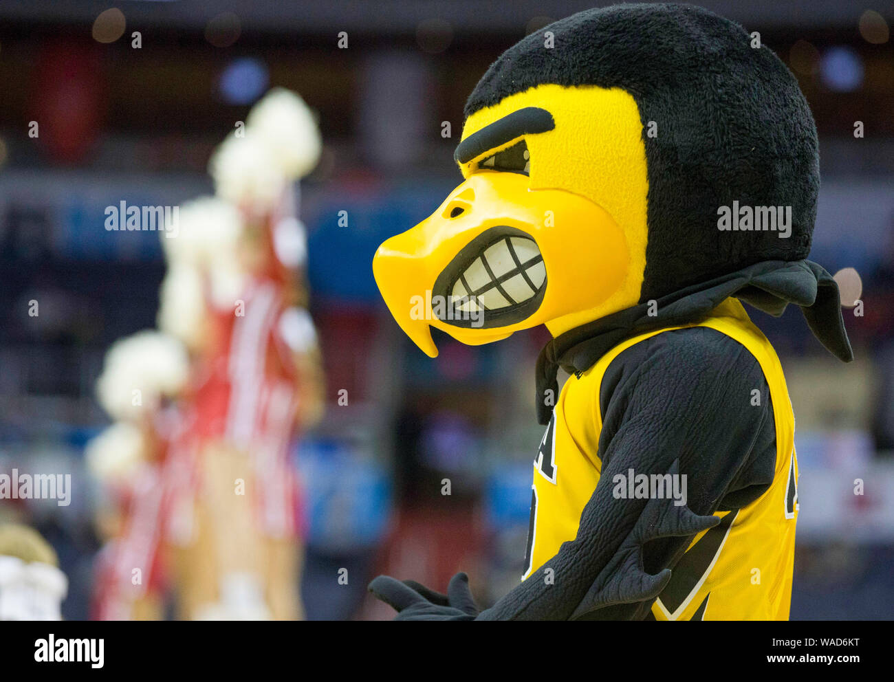 Teeth snarl hi-res stock photography and images - Alamy