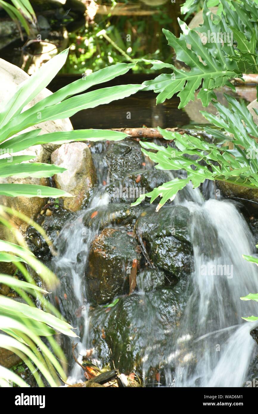 I created this Florida Photograph of a small stream flowing through a ...