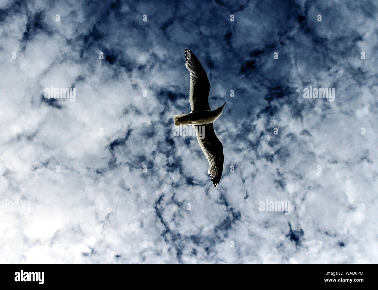 Over overhead hi-res stock photography and images - Alamy