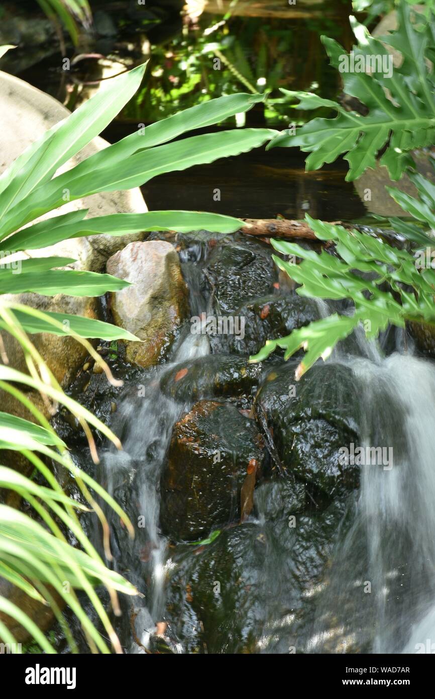 Waterfalls in florida hi-res stock photography and images - Alamy