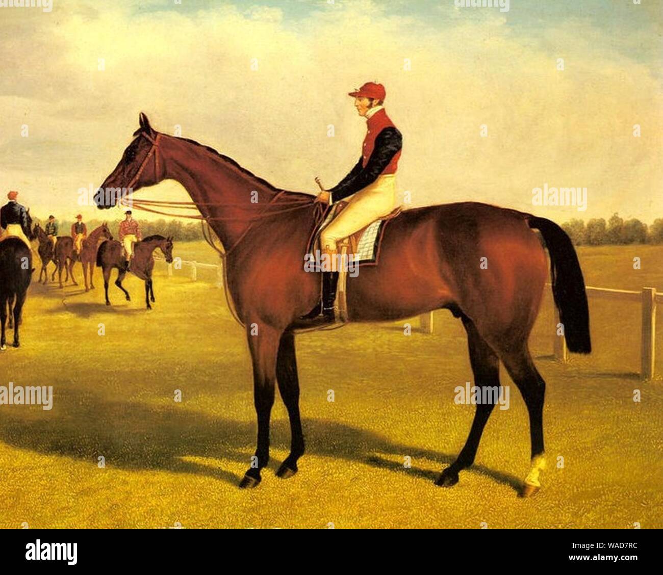 Don John (horse Stock Photo - Alamy