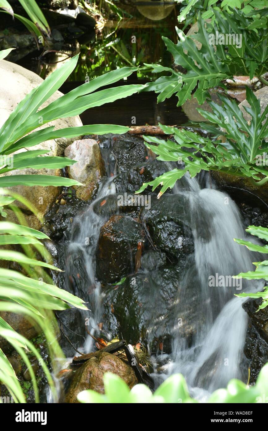 I created this Florida Photograph of a small stream flowing through a ...