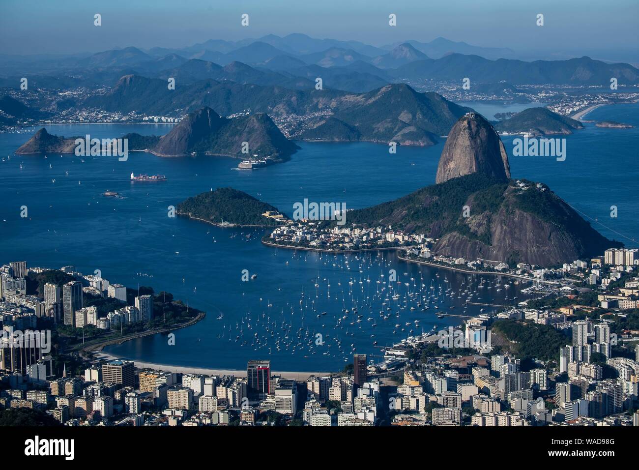 Tijuca forest national park hi-res stock photography and images - Alamy