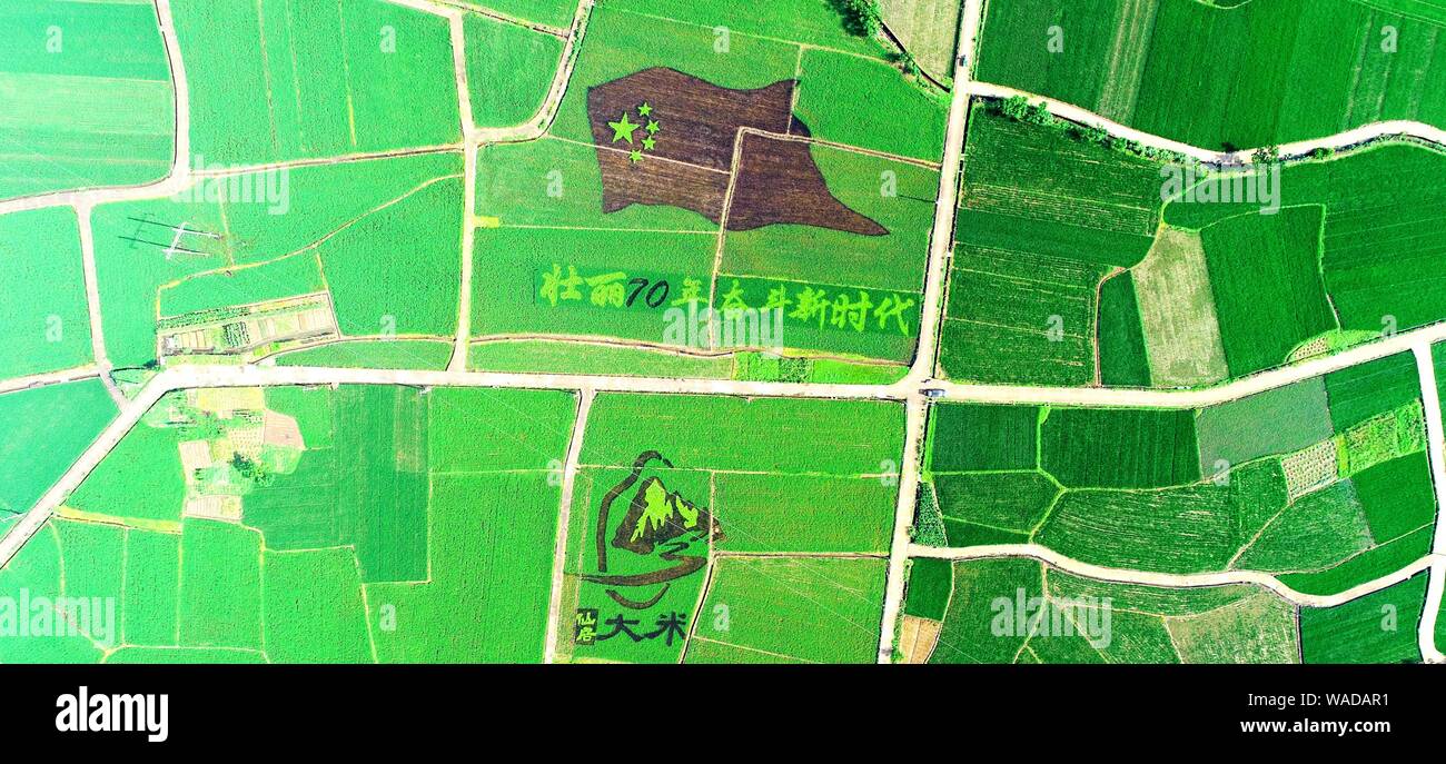 A 3D rice paddy painting of a national flag to celebrate the 70th ...