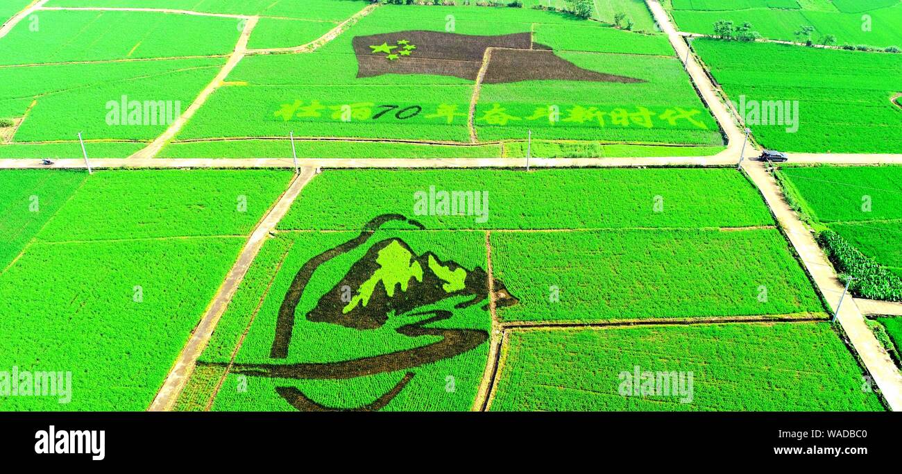 A 3D rice paddy painting of a national flag to celebrate the 70th ...