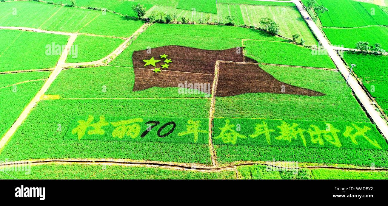 A 3D rice paddy painting of a national flag to celebrate the 70th ...