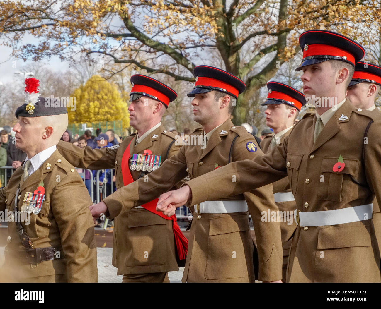 Medals remembrance day hi-res stock photography and images - Alamy