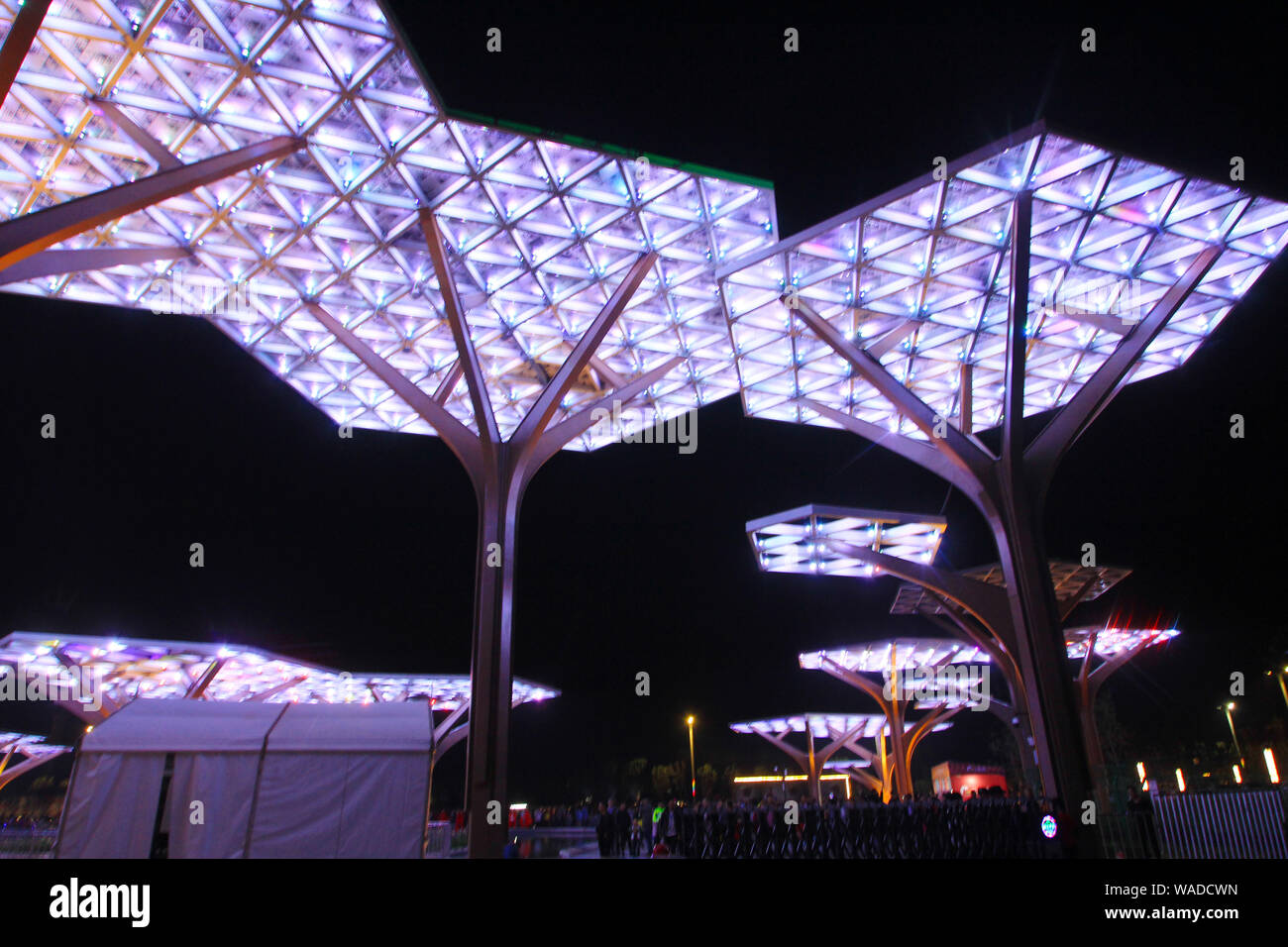 Holographic light show at Nanyang World Grand Rose Garden demonstrates ...