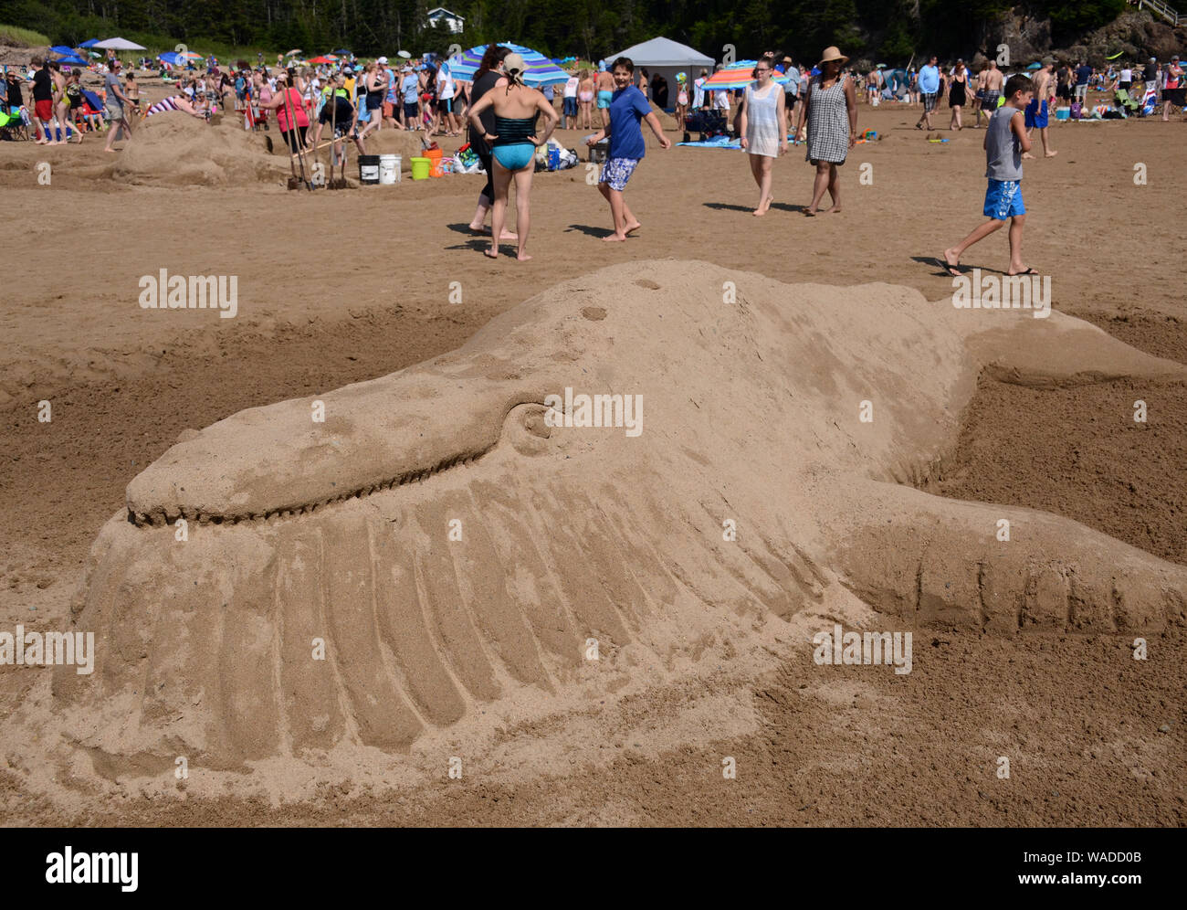 Sand castle building, New River Beach, New Brunswick, Canada Stock ...