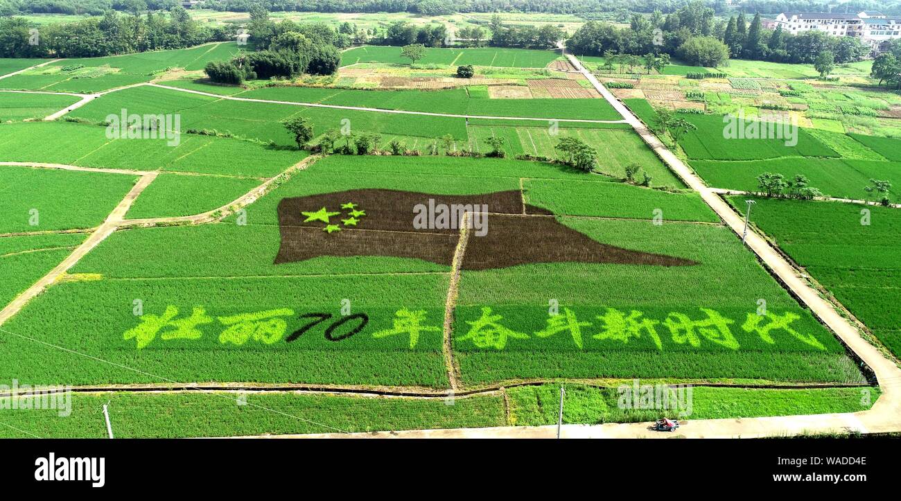 A 3D rice paddy painting of a national flag to celebrate the 70th ...