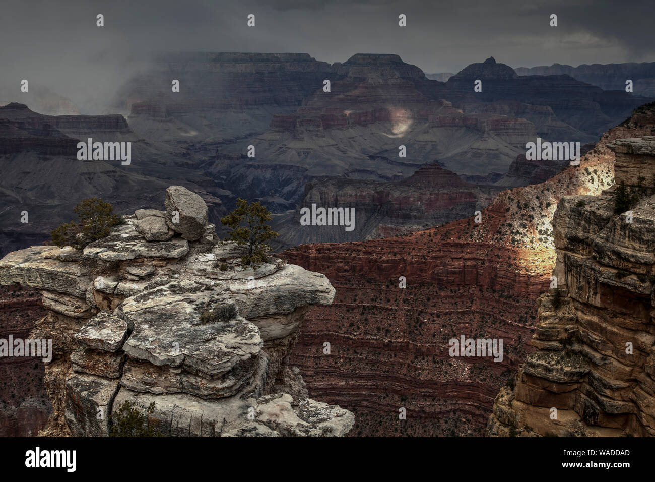 Grand Canyon Lipan Point Stock Photo - Alamy