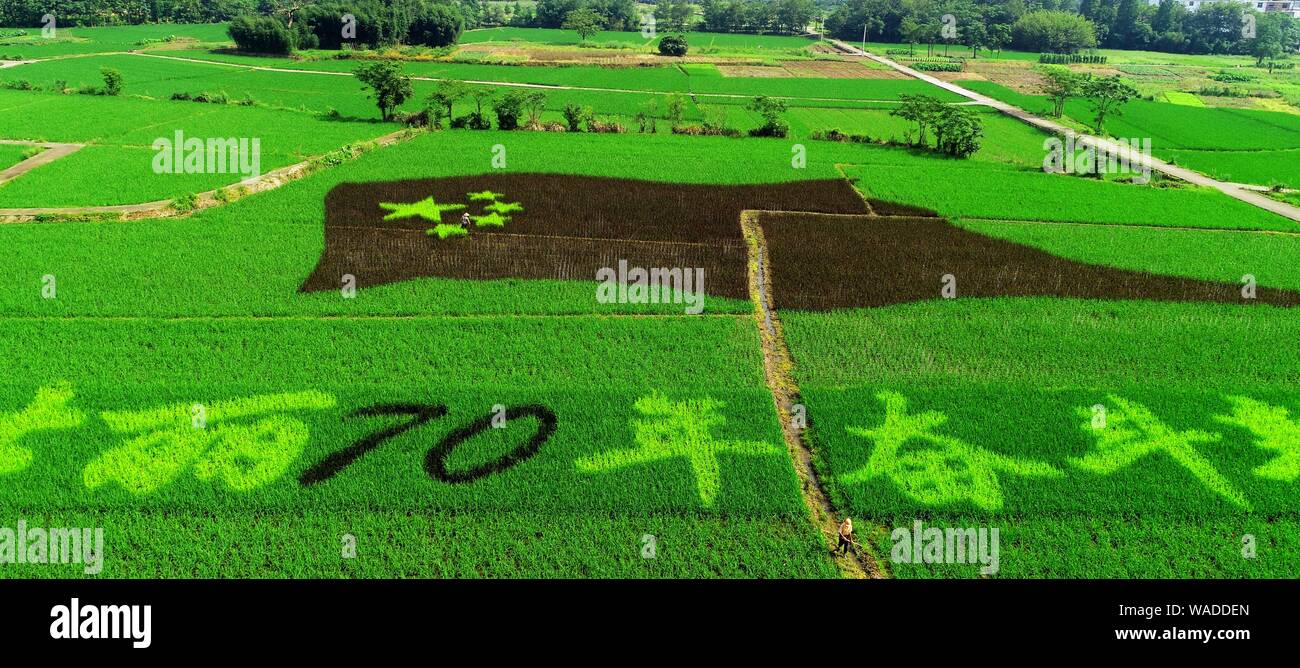 A 3D rice paddy painting of a national flag to celebrate the 70th ...