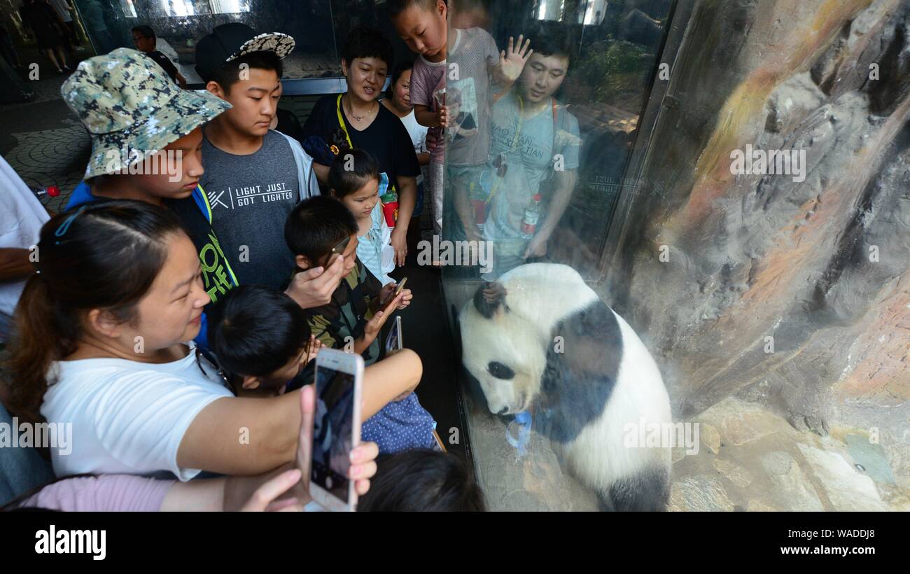 Visitors take photos of a giant panda resting in an air-conditioned ...