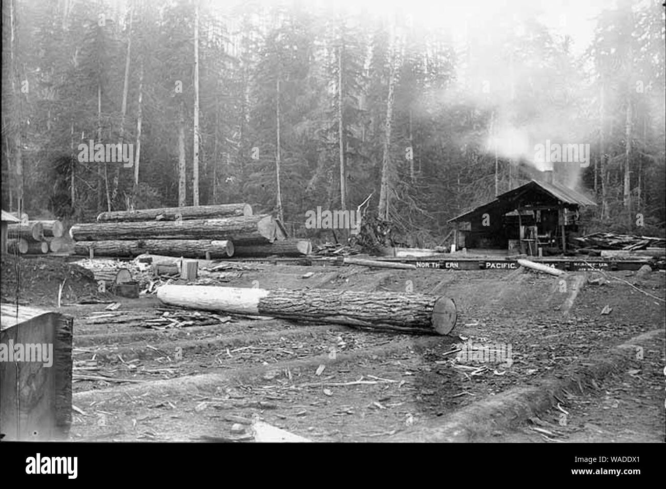 Donkey engine hi-res stock photography and images - Alamy