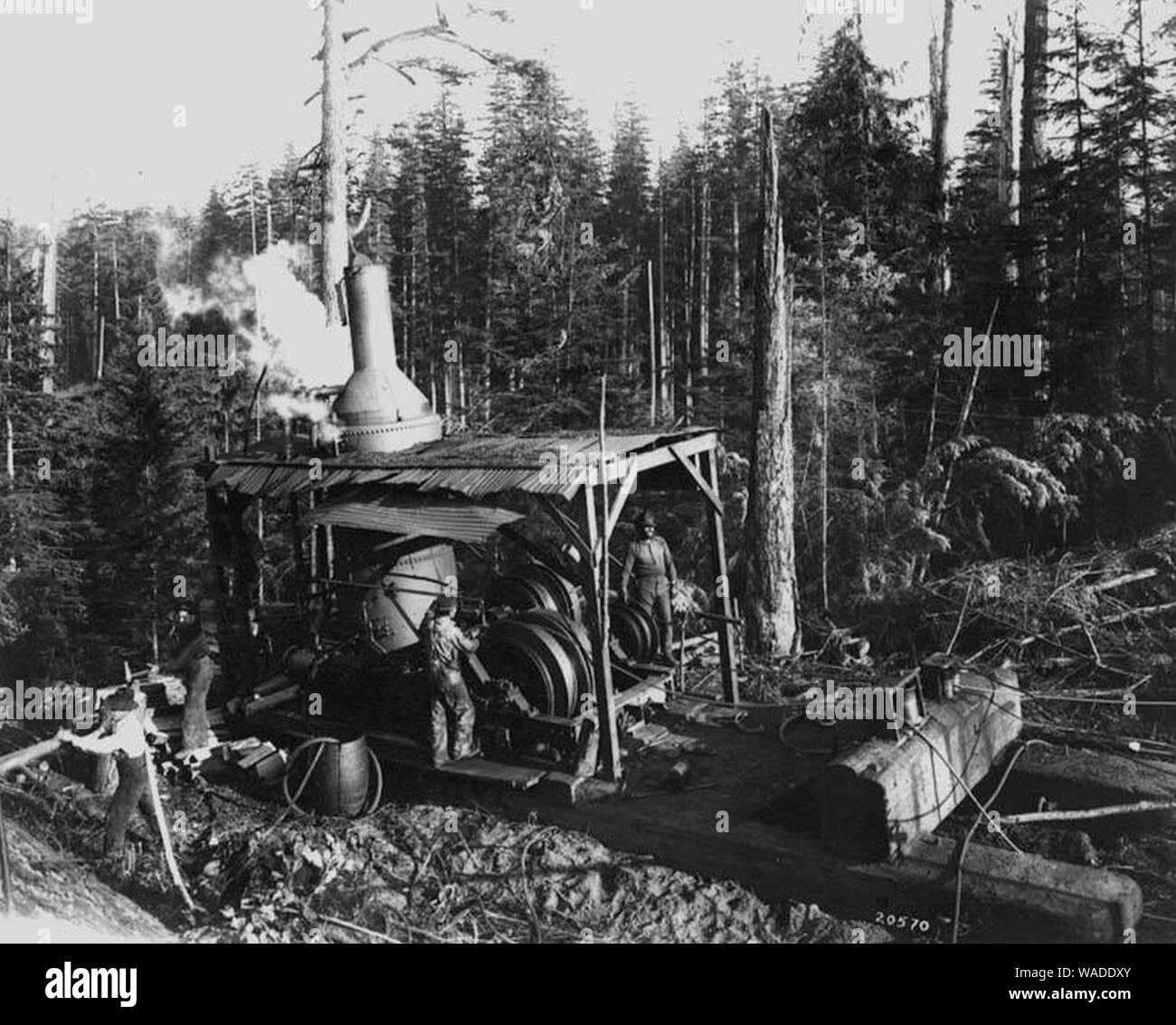 Donkey engine at Camp 2, McDougal and Biladeau Logging Co, Ravensdale ...