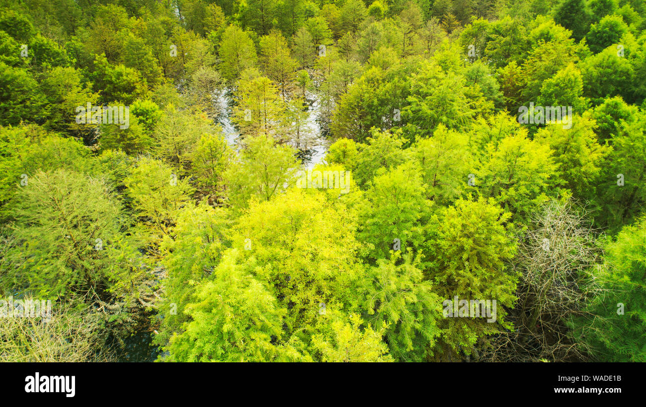 Ningguo City High Resolution Stock Photography and Images - Alamy