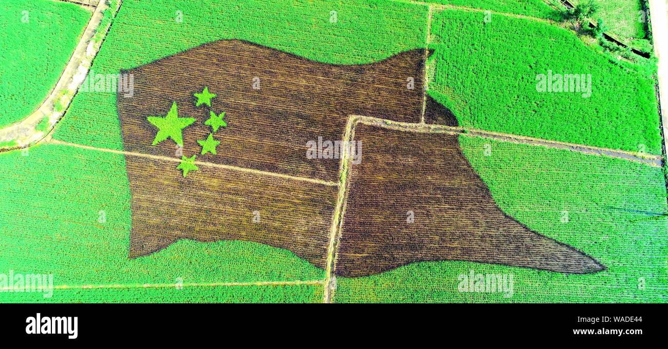 A 3D rice paddy painting of a national flag to celebrate the 70th ...