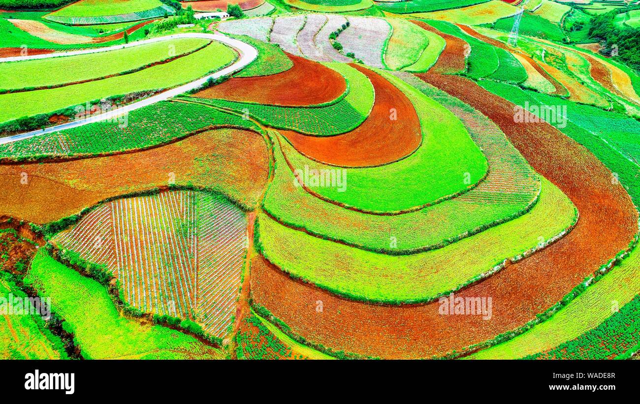 Landscape of the multicolored Dongchuan Red Land in Huashitou village ...