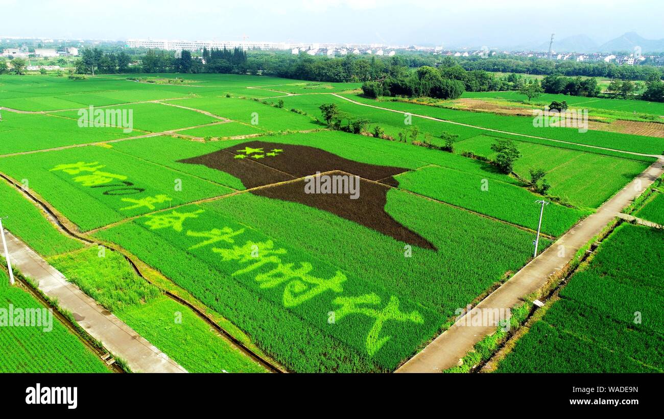 A 3D rice paddy painting of a national flag to celebrate the 70th ...