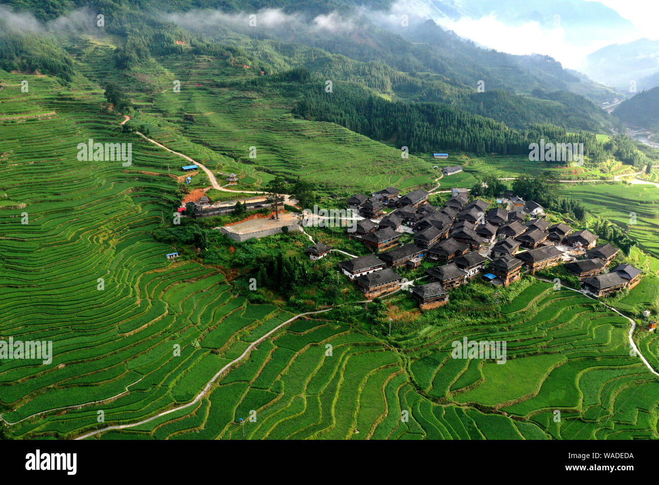 Landscape of the terraced rice fields surrounded by mist and cloud in ...