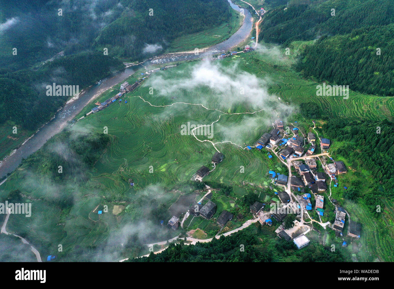 Landscape of the terraced rice fields surrounded by mist and cloud in ...