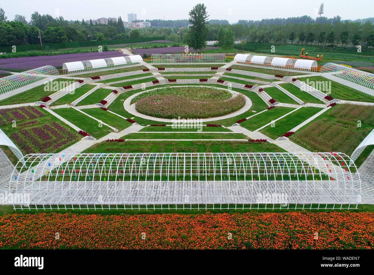 Aerial view of colorful plants featuring the shape of bagua diagram at ...