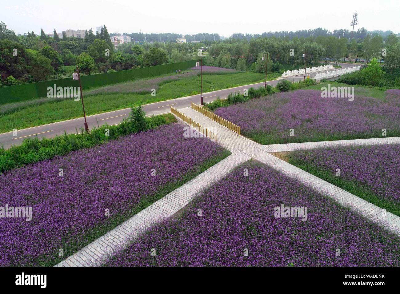 Aerial view of colorful plants featuring the shape of bagua diagram at ...