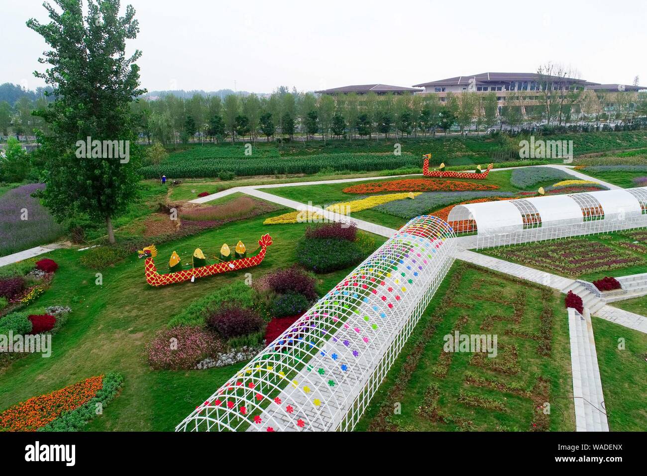 Aerial view of colorful plants featuring the shape of bagua diagram at ...
