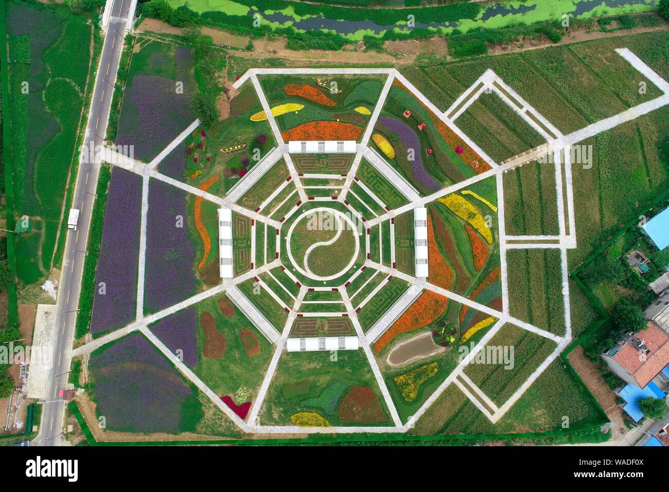 Aerial view of colorful plants featuring the shape of bagua diagram at ...