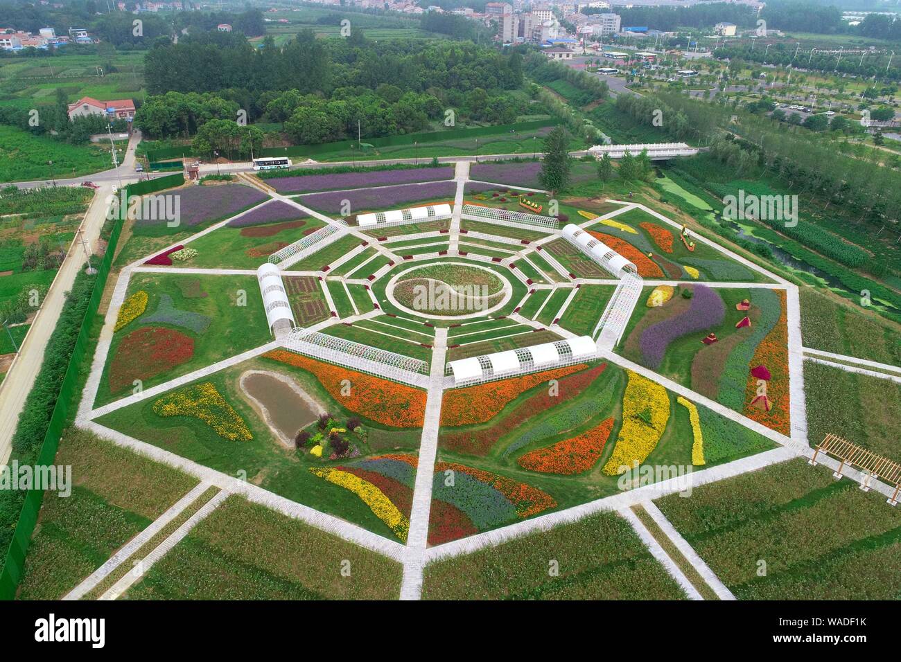 Aerial view of colorful plants featuring the shape of bagua diagram at ...