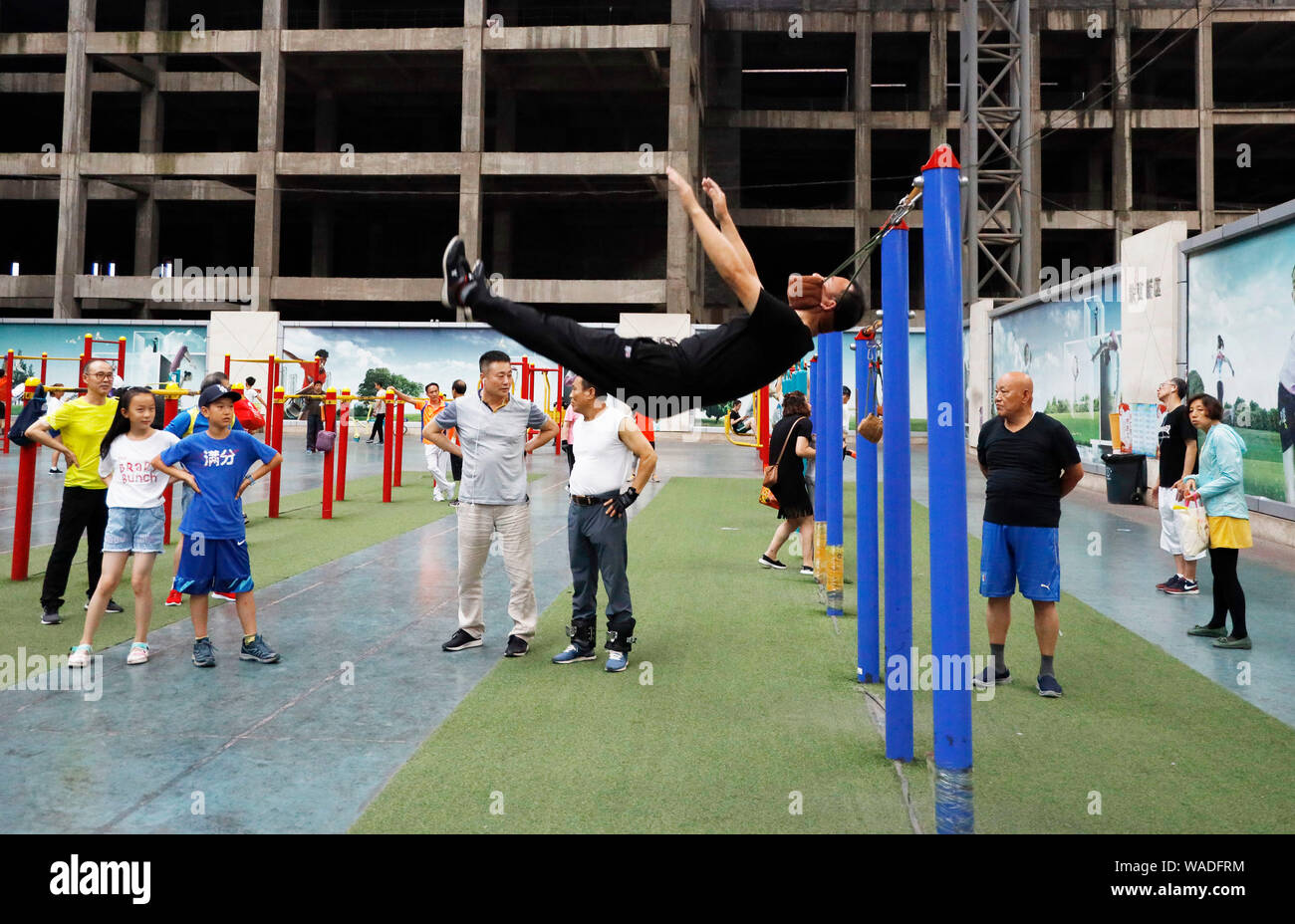 A group of exercisers do hanging-like exercise which is found capable ...