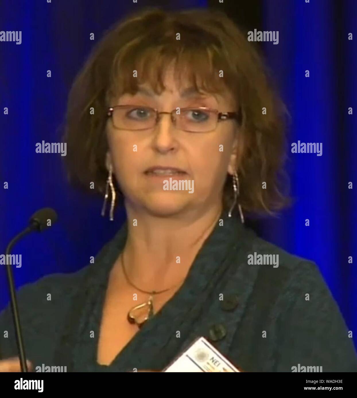 Dora Angelaki at NEI 50th Symposium on Vision and the Brain Stock Photo ...