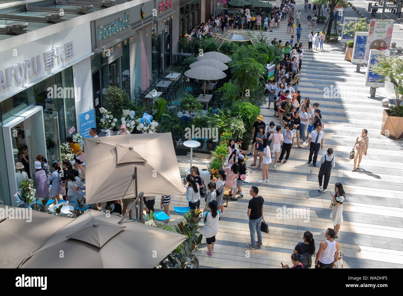 Chinese fans wait in a long queue in front of a milk tea store operated ...