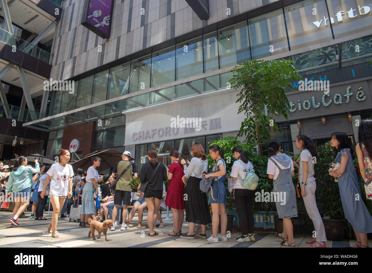 Chinese fans wait in a long queue in front of a milk tea store operated ...