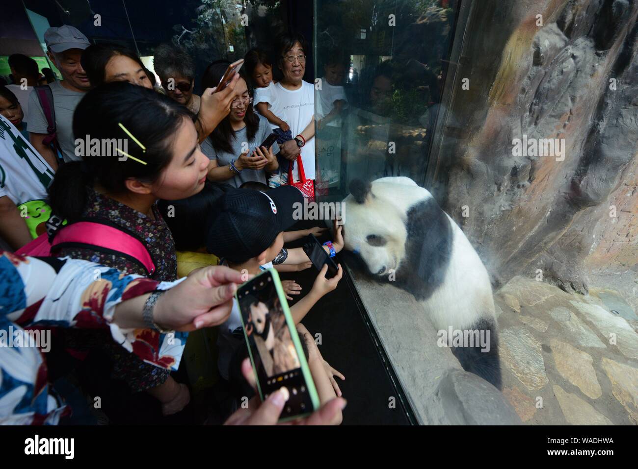 Visitors take photos of a giant panda resting in an air-conditioned ...