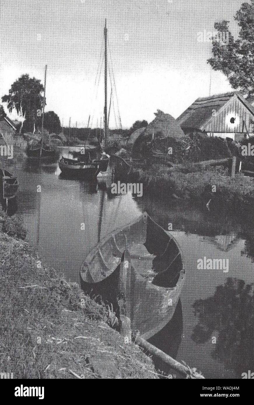 Loye hi-res stock photography and images - Alamy