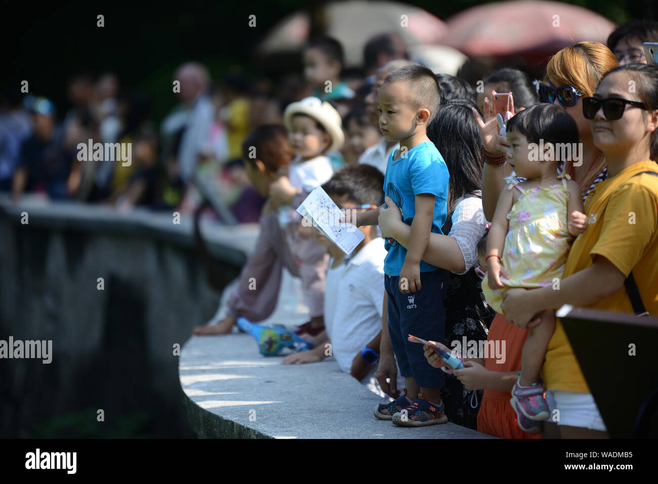 --FILE--The world's oldest captive giant panda Xinxing eats bamboo ...