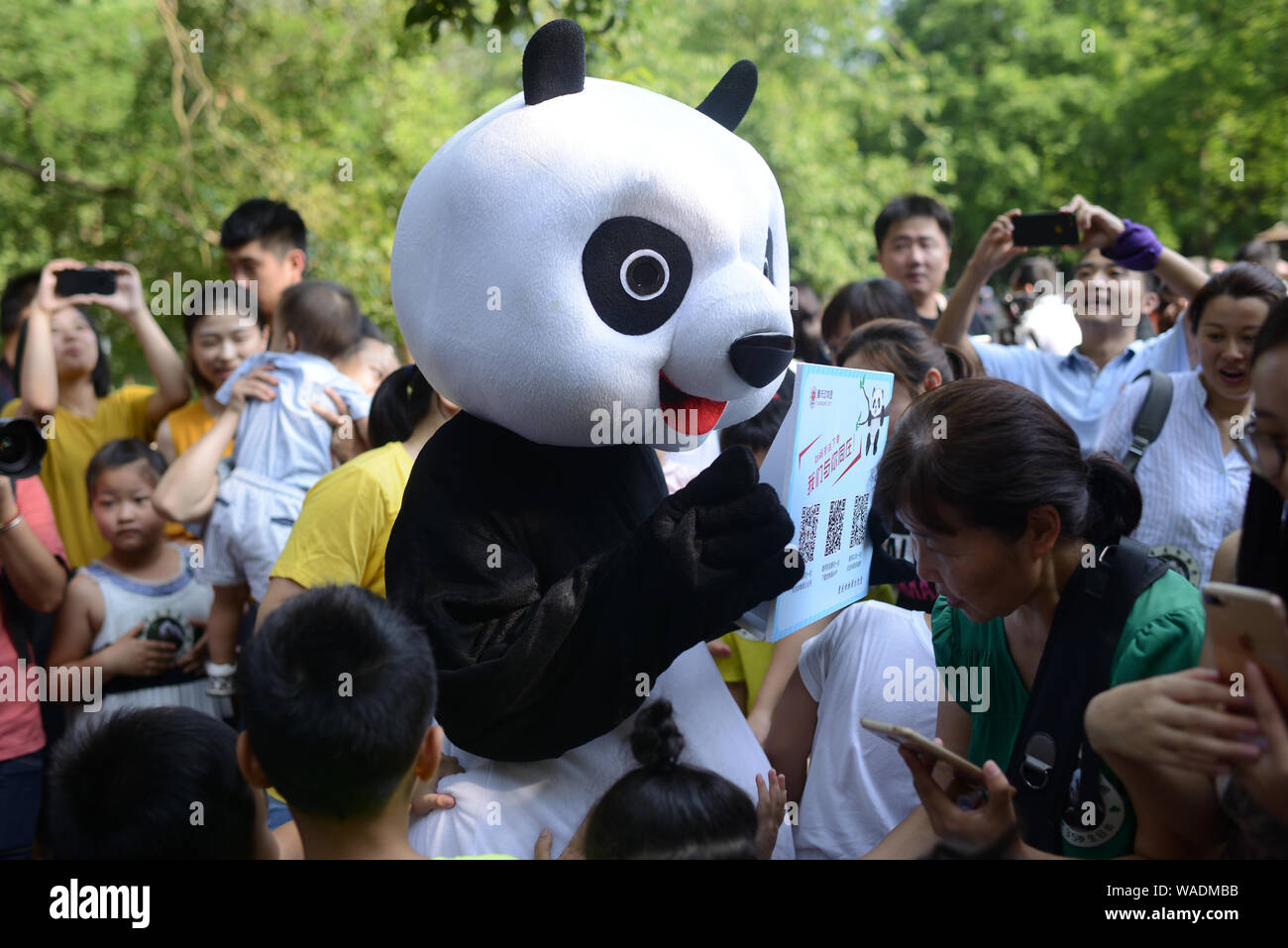 --FILE--The world's oldest captive giant panda Xinxing eats bamboo ...