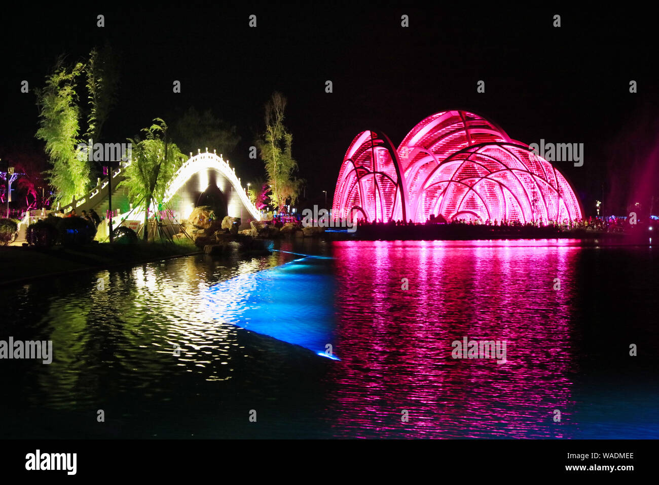 Holographic light show at Nanyang World Grand Rose Garden demonstrates ...